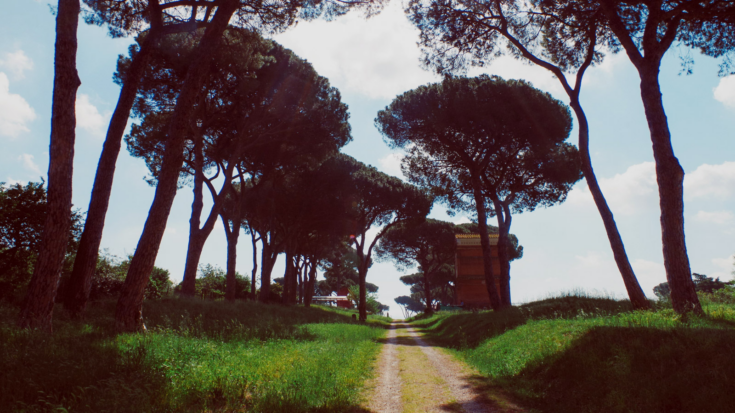 The Pines of Rome - Dallas Symphony Orchestra